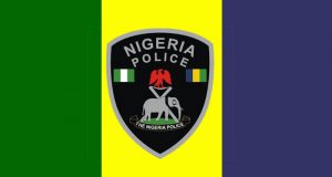 Nigeria Police Ranks and Salary Structure – Top Nigerian Jobs