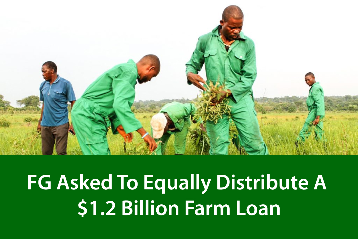 FGN Agricultural Loan Application 2024 | Steps to Apply – Top Nigerian Jobs