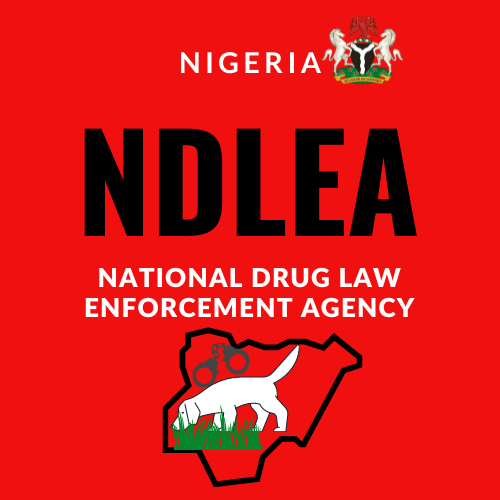 NDLEA Ranks and Salary Structure 2025 – Top Nigerian Jobs